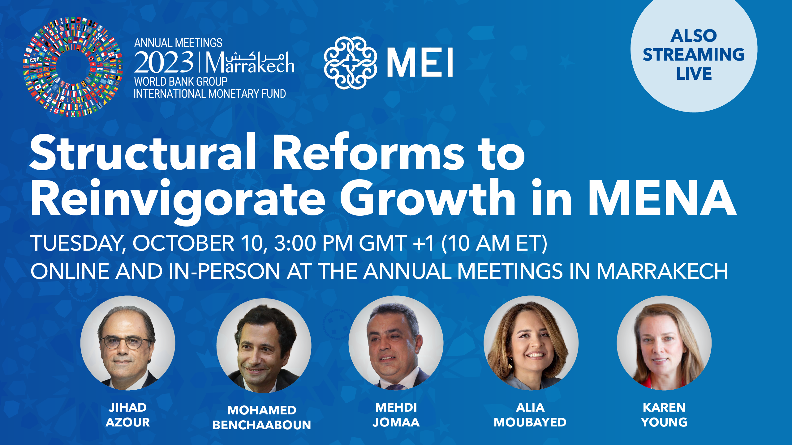 IMF-MEI panel on Structural Reforms to Reinvigorate Growth in MENA ...
